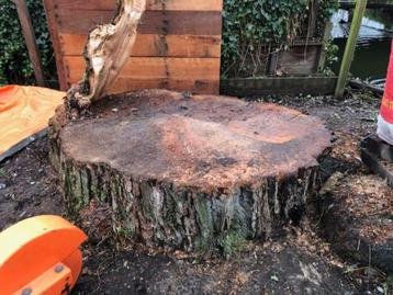 ≥ Stronk, bamboe, heg, stobbe, boom verwijderen. — Tuinmannen en ...