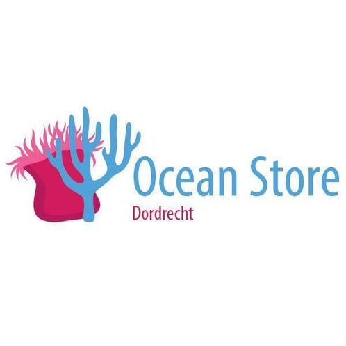 ≥ Ocean Store - Advertenties op Marktplaats.nl
