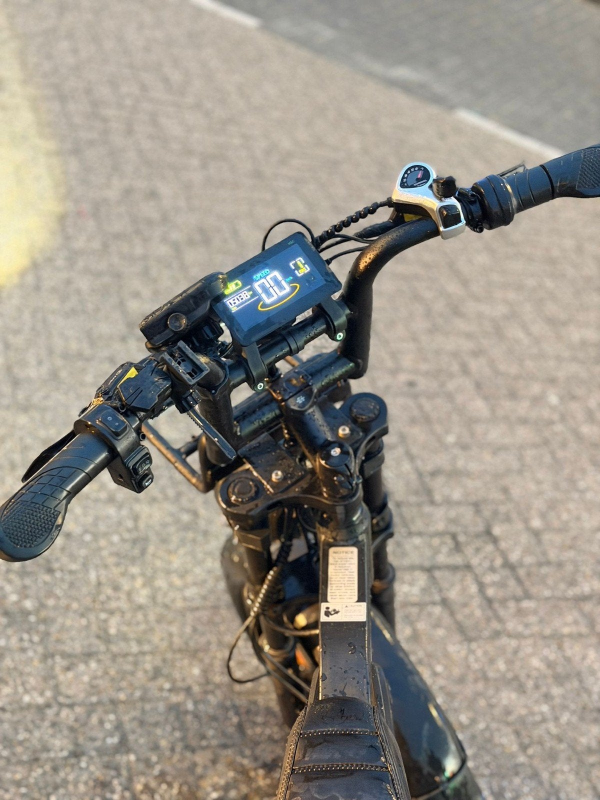 ≥ La Souris Fatbike - Perfecte staat, incl. extra accu — Elektrische ...