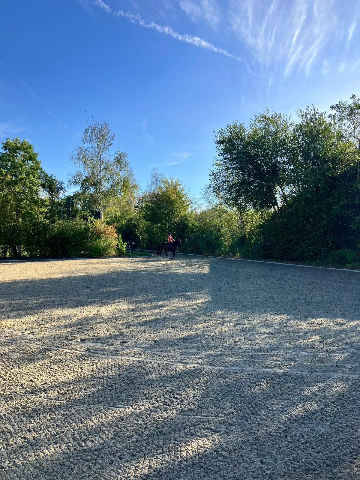≥ Plekje vrij voor lieve en sociale ruin (m2406836388) — Stalling en ...