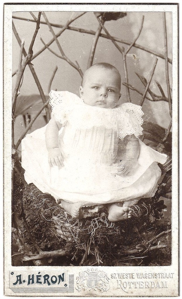 ≥ CDV Kind Baby Witte Jurk Nest Foto Heron Rotterdam Nel Vink — Foto's ...