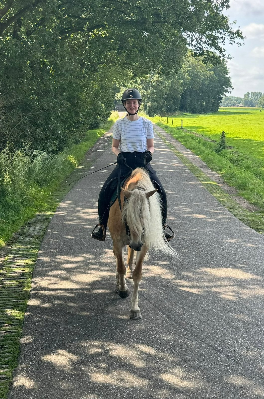 ≥ Stalling gezocht regio Hengelo Ov — Stalling en Weidegang — Marktplaats