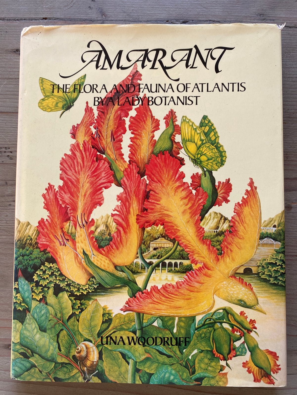 ≥ Amarat Una Woodruff — Natuur — Marktplaats