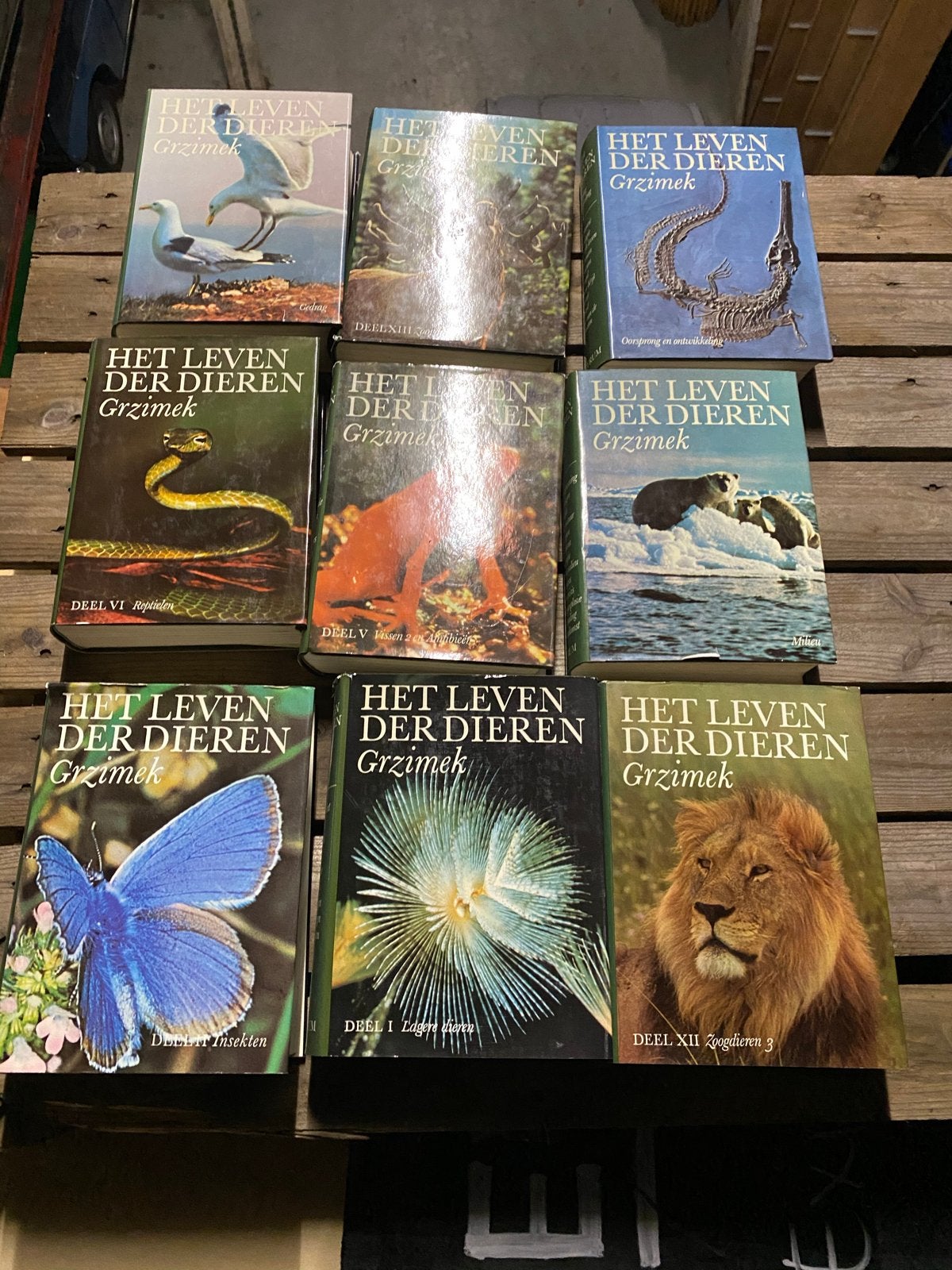 ≥ FOTOBOEKEN COMPLETE SERIE GRZIMEK - Het Leven Der Dieren — Natuur ...