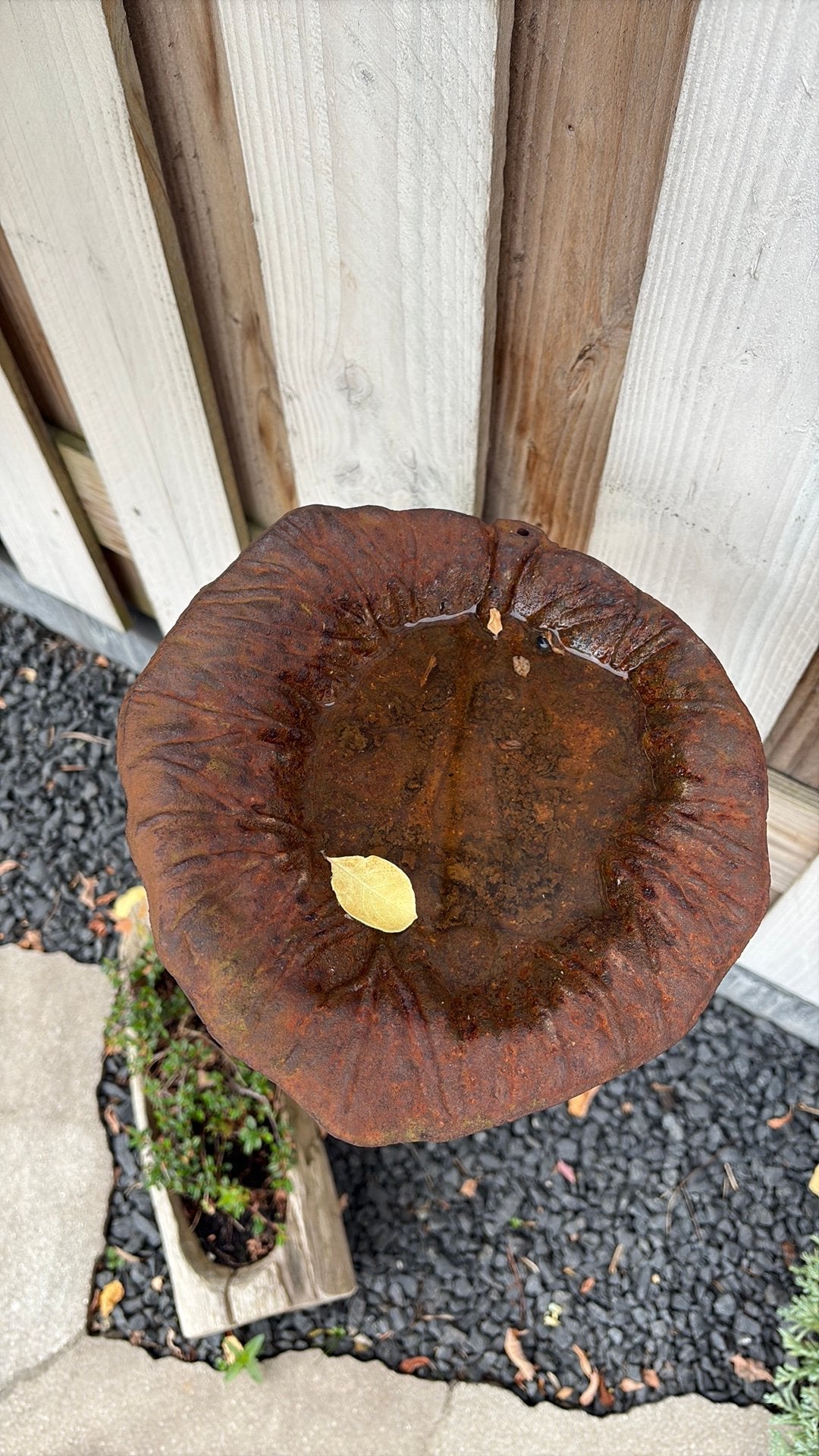 ≥ Vogeldrinkbak op voet - Bladvormig metaal (m2408481374) — Tuinbeelden ...
