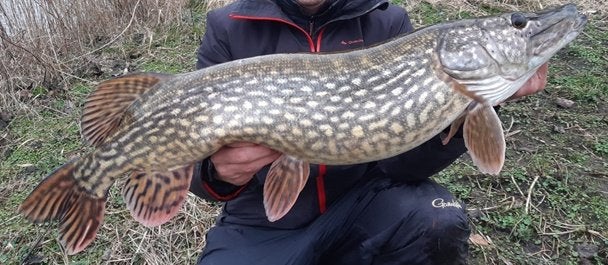 ≥ Snoekstreamer FL 14 van 19 cm gebonden op 7 cm fleurhaak ...