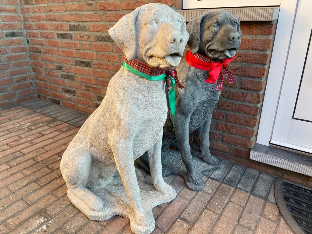 ≥ Labrador , hoogte 85cm — Tuinbeelden — Marktplaats