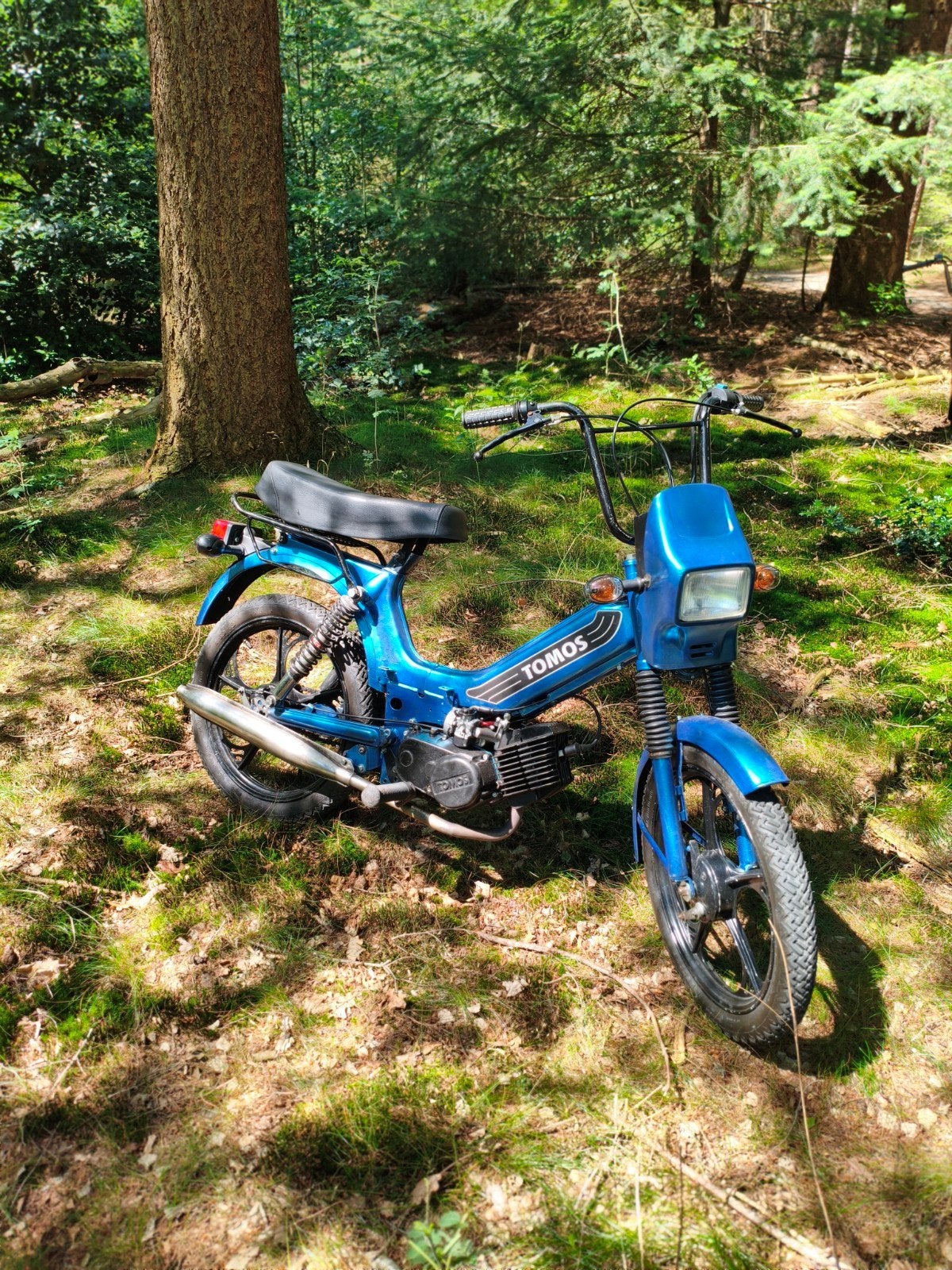 ≥ Blauwe Tomos quadro — Brommers | Tomos — Marktplaats
