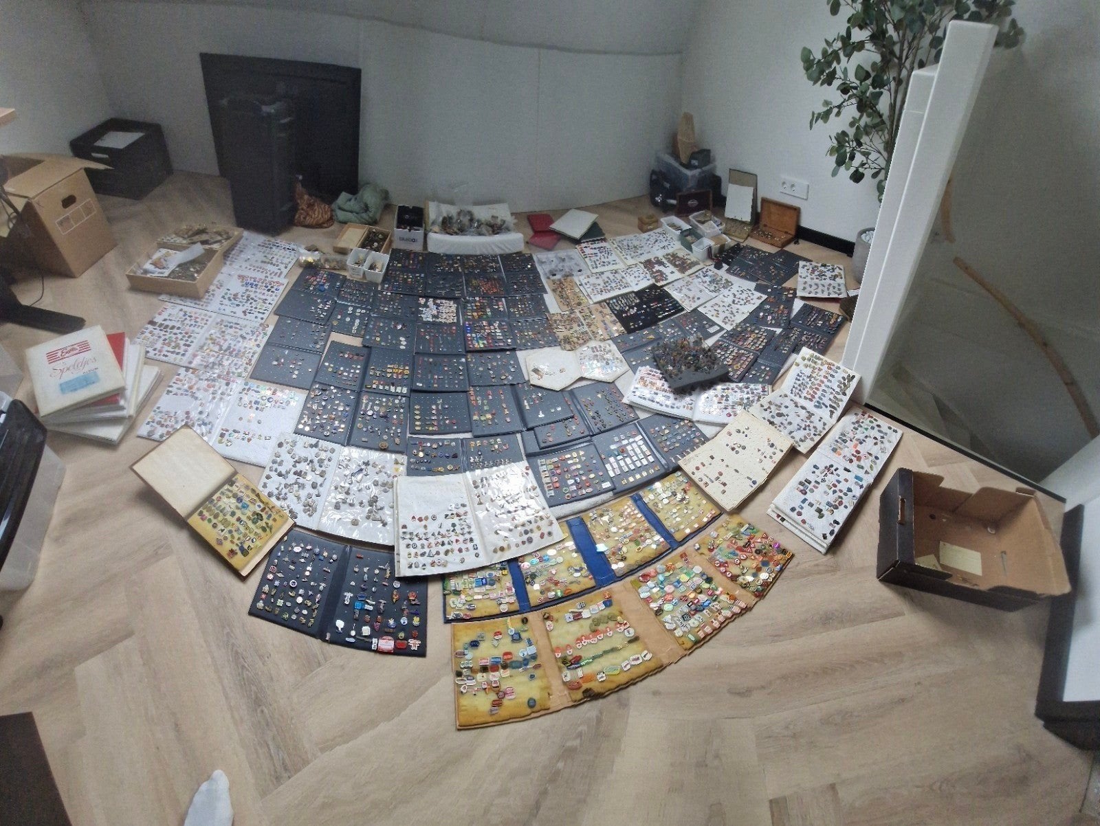 ≥ Gigantische verzameling (emaille) speldjes, pins, broches — Speldjes ...
