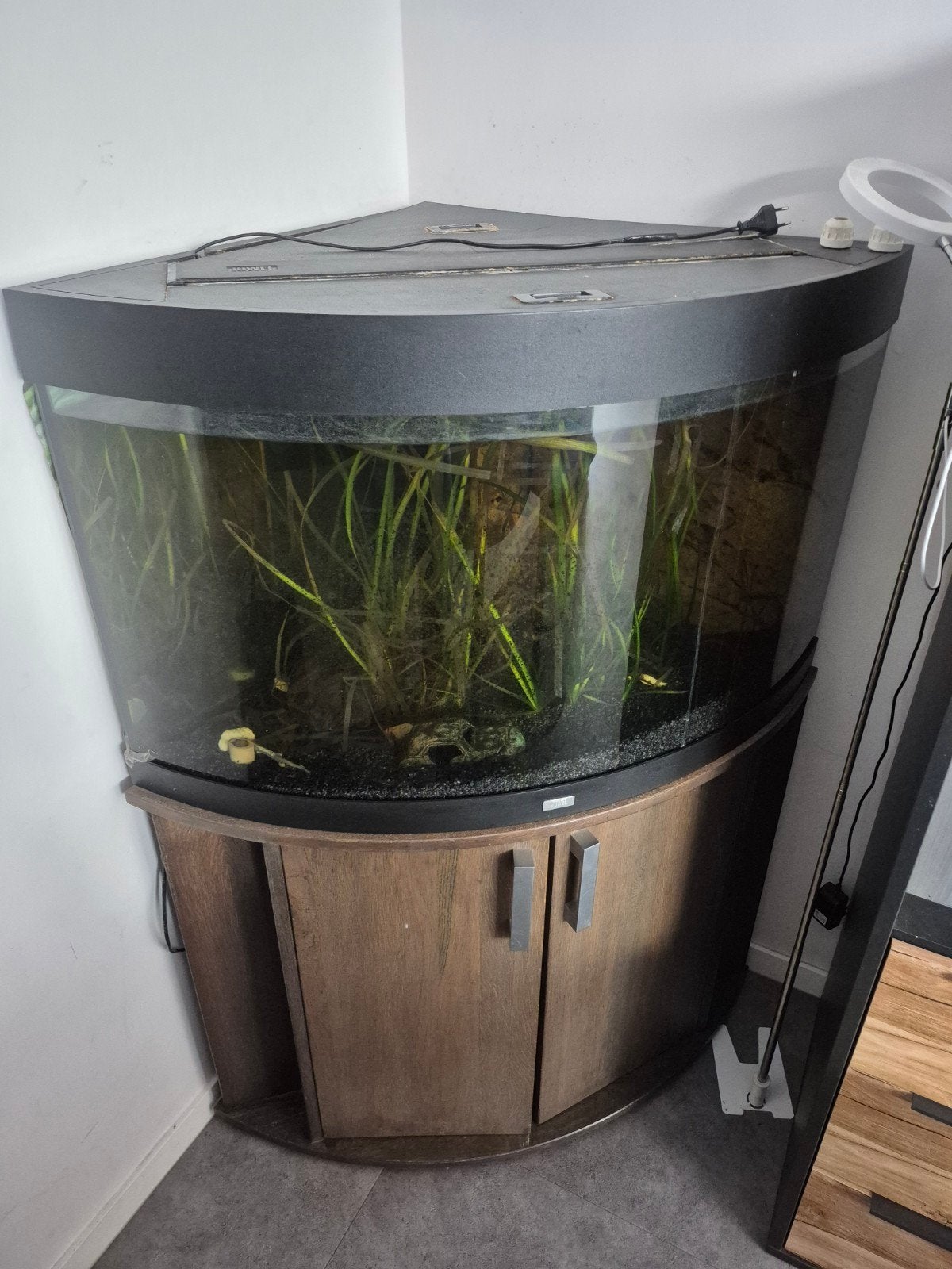 ≥ Juwel 190 liter hoekaquarium — Vissen | Aquaria en Toebehoren ...