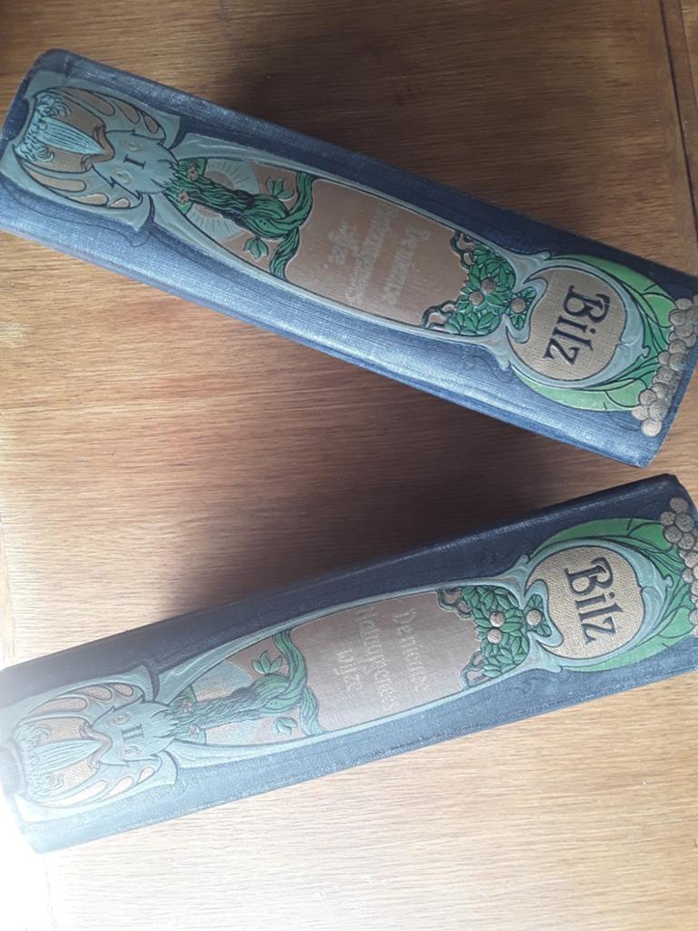 ≥ Vind de nieuwe natuurgeneeswijze in Antiek | Boeken en Bijbels op ...