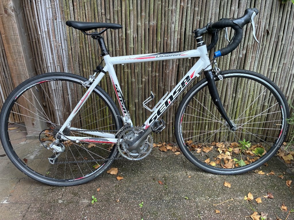 ≥ Race fiets dames — Fietsen | Racefietsen — Marktplaats