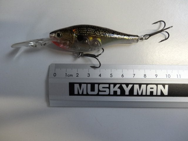 ≥ Kunstaas: Rapala Shad Rap Rattlin' Suspending (SSRS-7) — Hengelsport ...