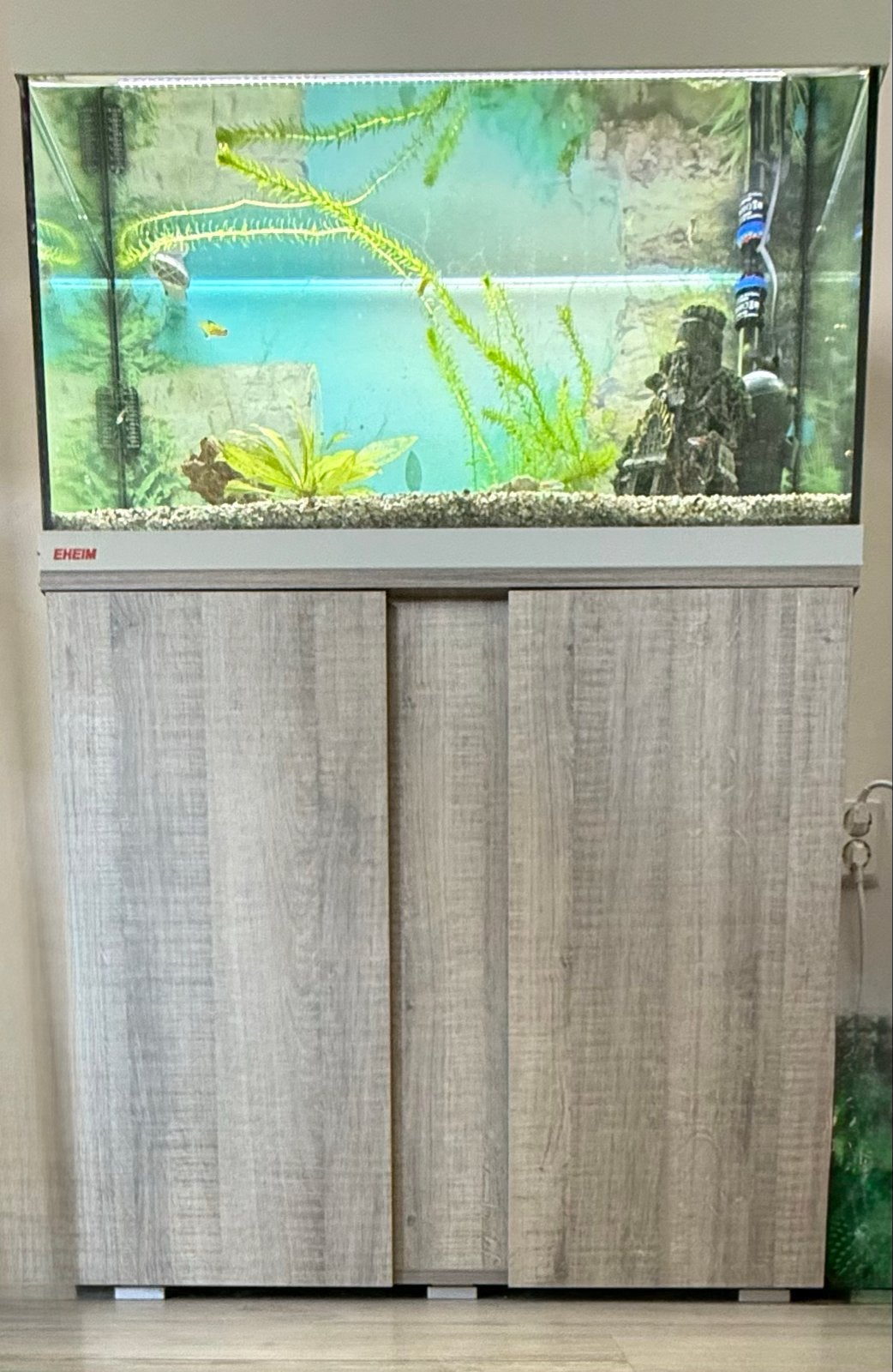 ≥ Eheim Set Vivaline 126 Led - Aquariumset - — Vissen | Aquaria en ...