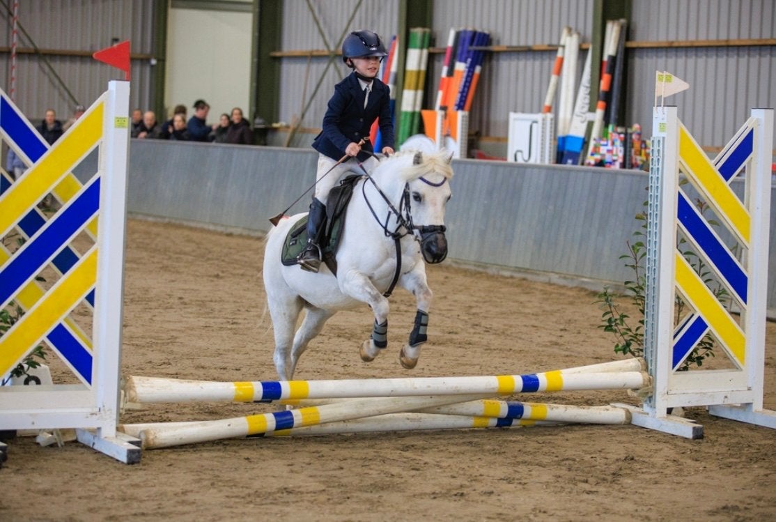 ≥ Betrouwbare Bixie en doorgroei Pony — Pony's — Marktplaats