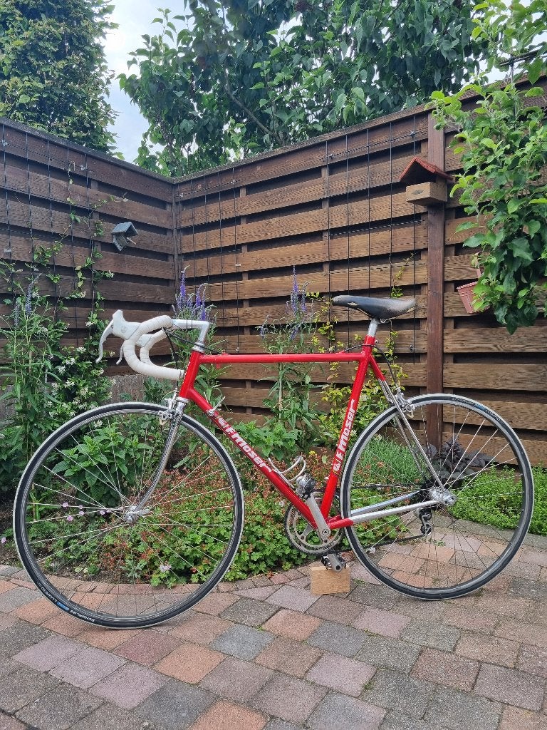 ≥ Wielrenfiets Francesco Moser vintage — Fietsen | Racefietsen ...
