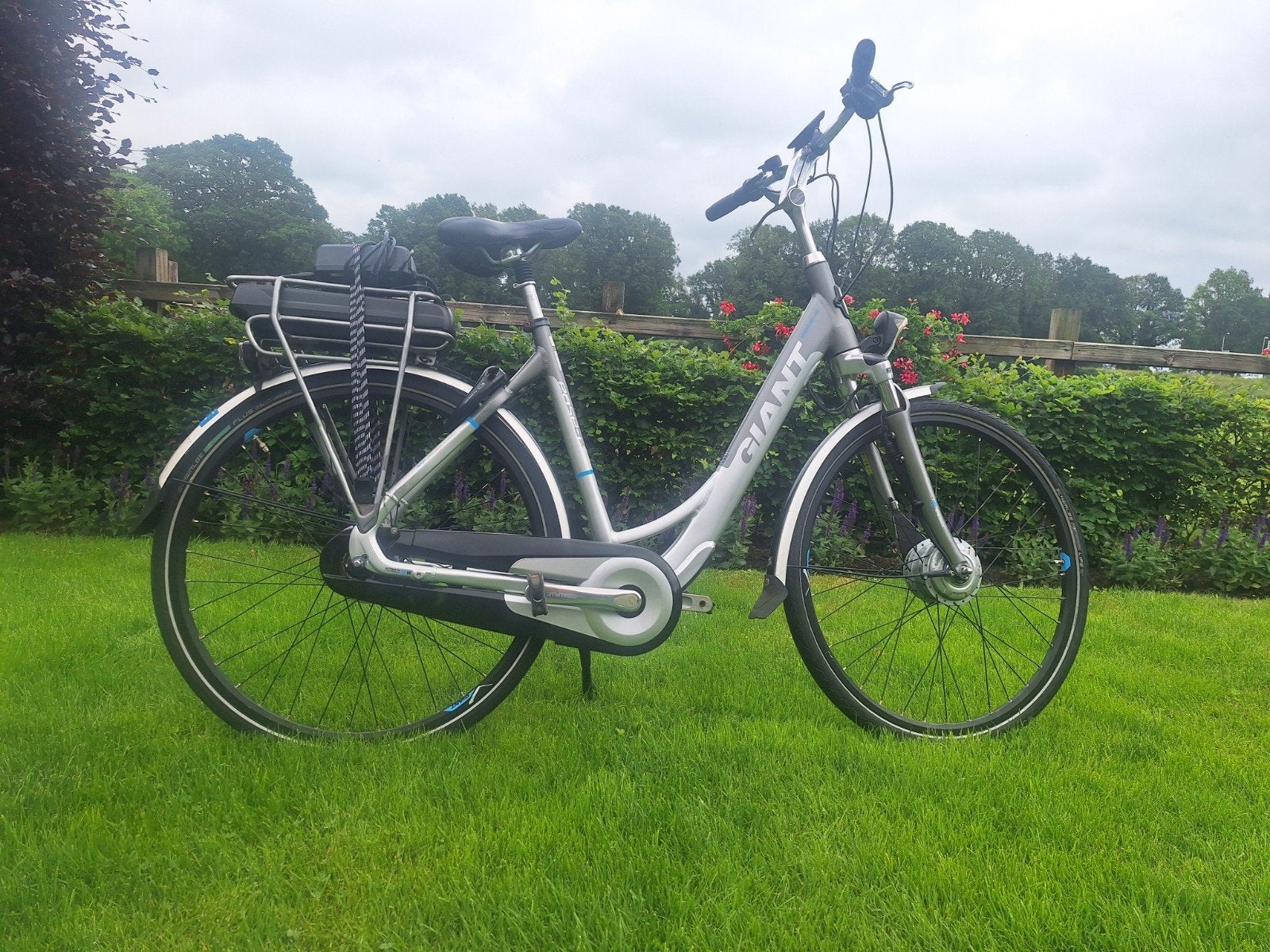 ≥ Mooie Giant Eas-E , goede accu, met garantie. (m2408188008 ...