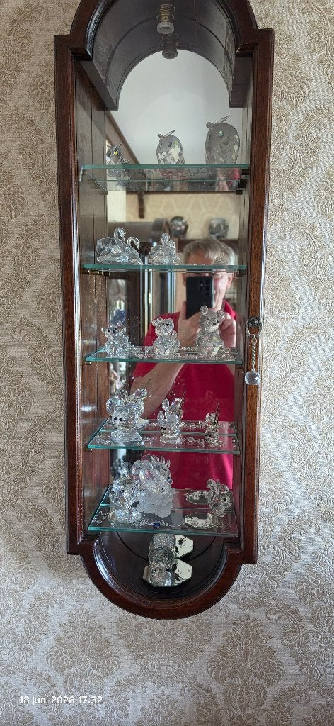 ≥ Vitrine kast met Swarovski kristallen beeldjes — Swarovski — Marktplaats
