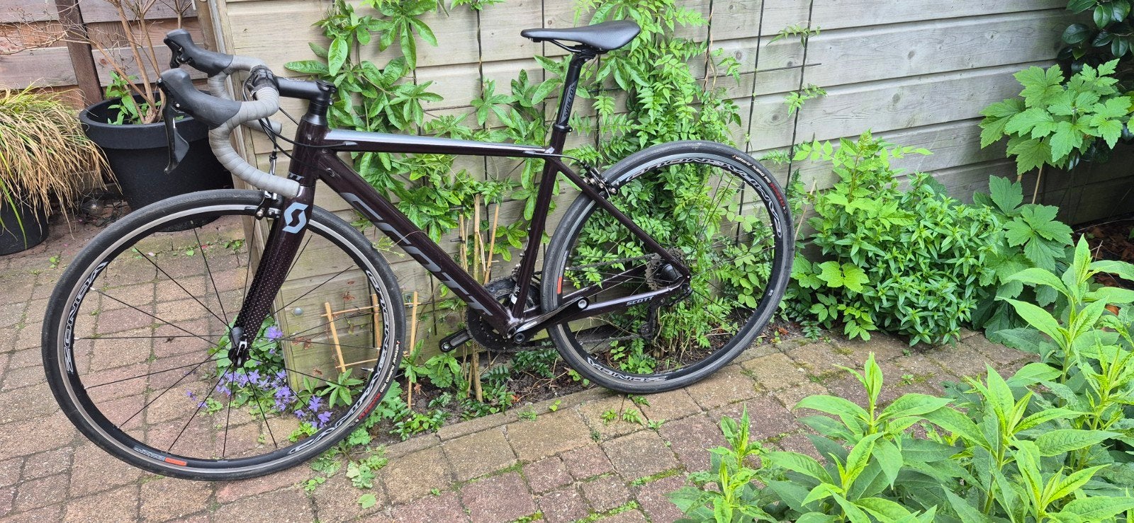 ≥ Scott speedster contessa 15 — Fietsen | Racefietsen — Marktplaats