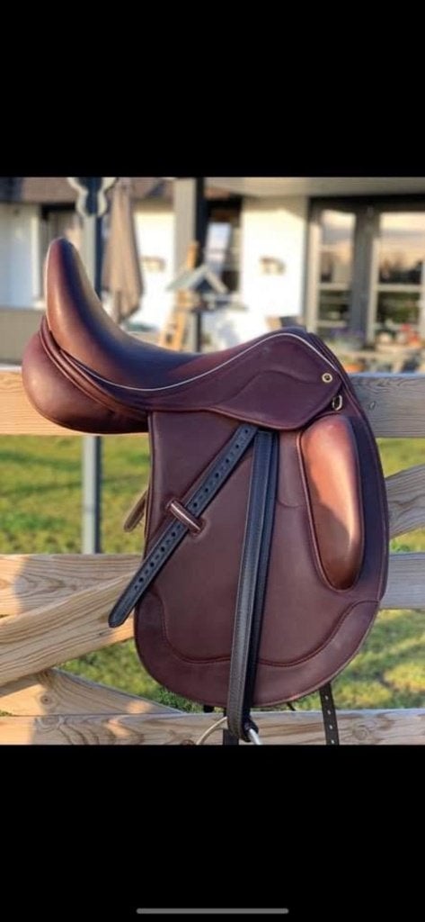 ≥ Award Heaven dressuurzadel – bruin met gouden details — Paarden en ...