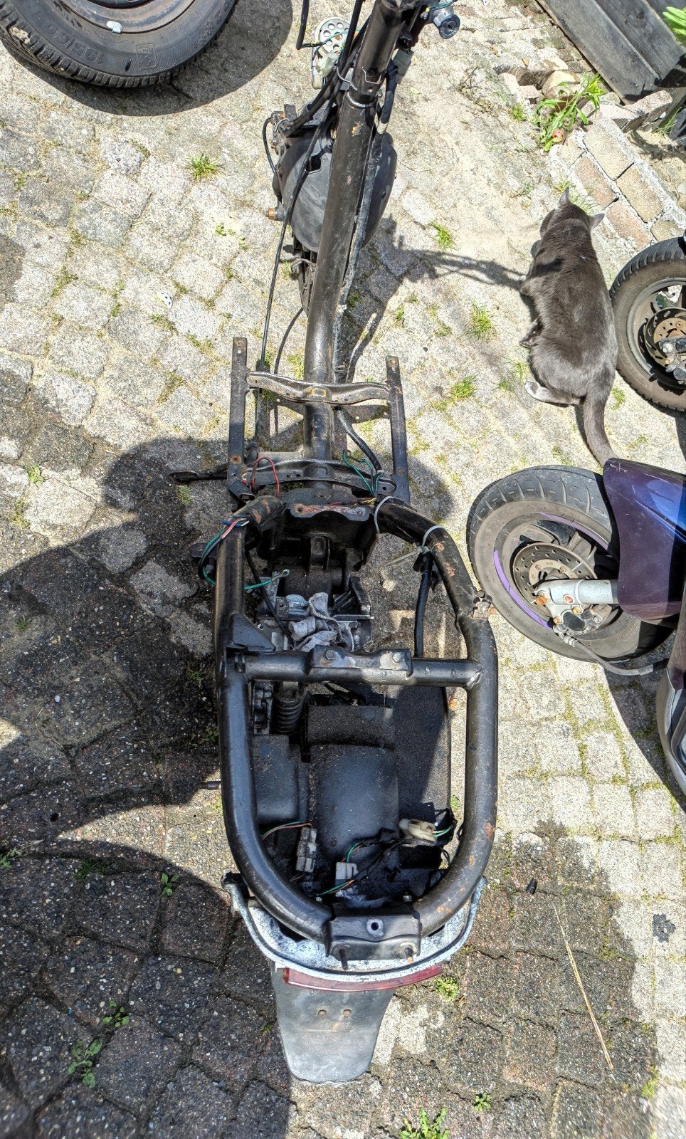 ≥ Kymco DJ brom (met aandacht) — Brommers | Tomos — Marktplaats