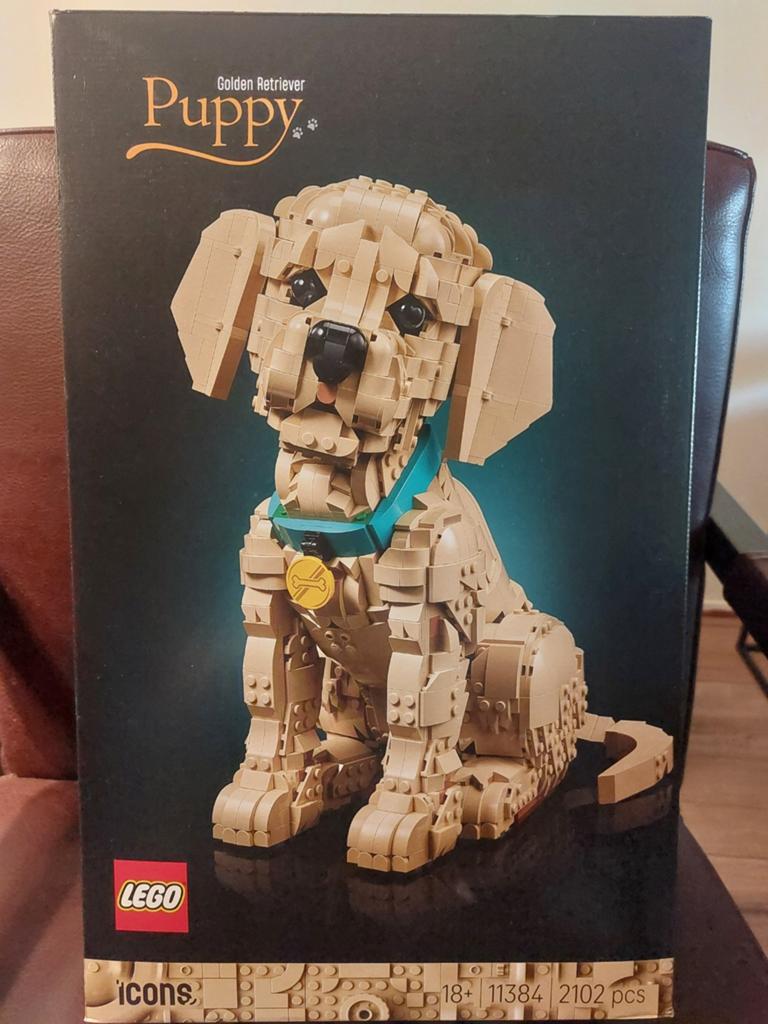 ≥ Nieuwe LEGO Icons Golden Retriever Puppy (Geseald) — Speelgoed ...