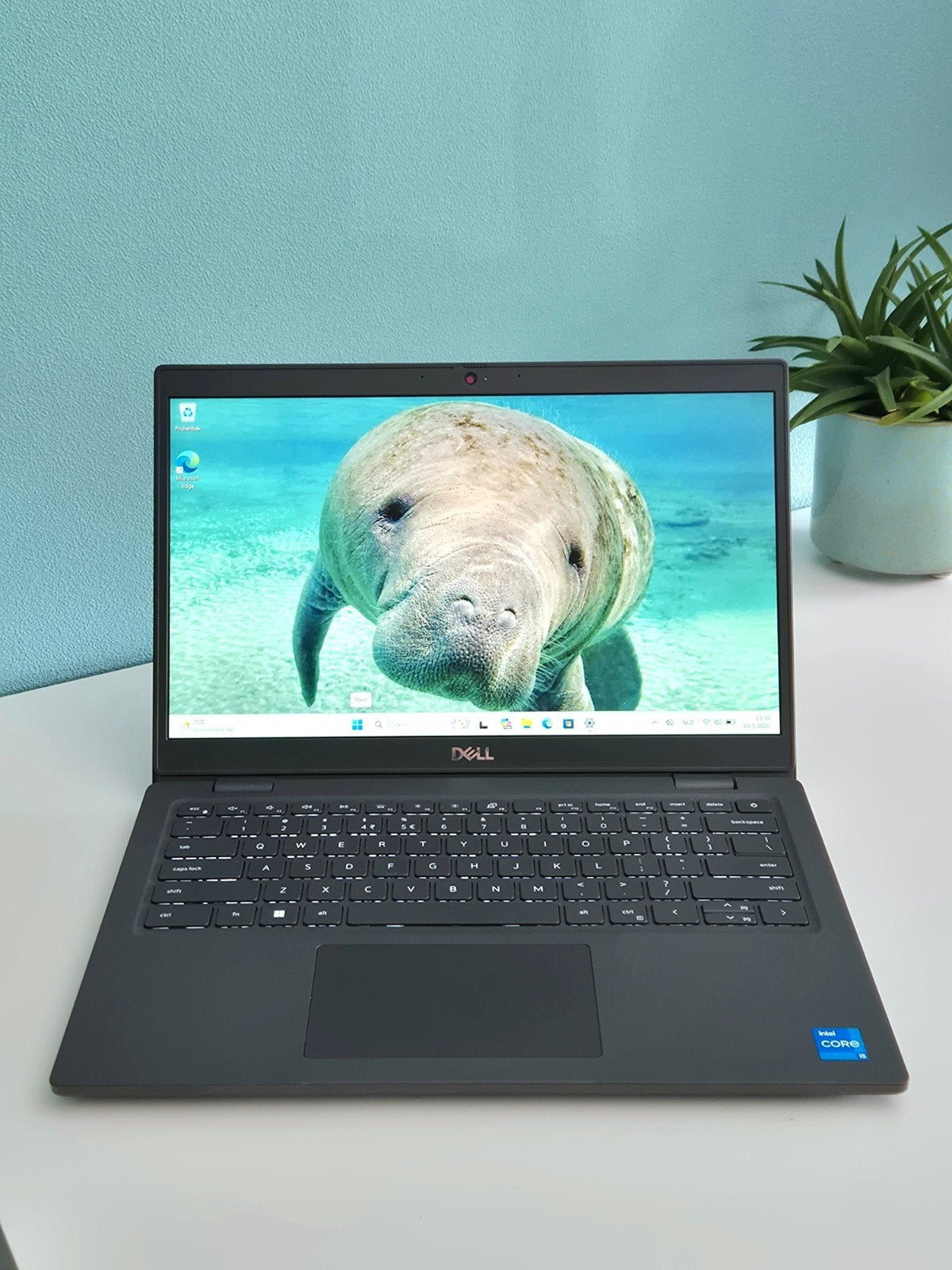 ≥ Dell Latitude 3420 i5-1135G7 256GB 14.1" FHD IPS Win11 Pro — Windows ...