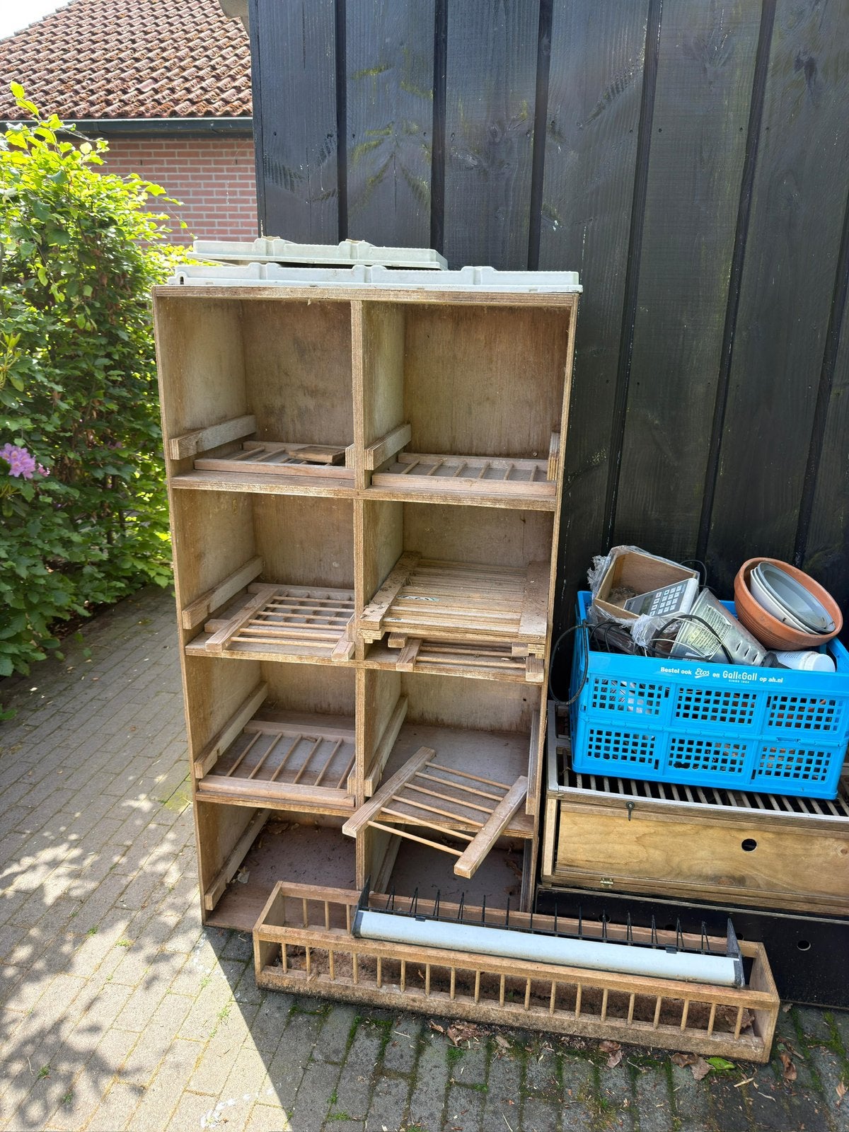 ≥ Complete duiven inventaris — Vogels | Duiven — Marktplaats