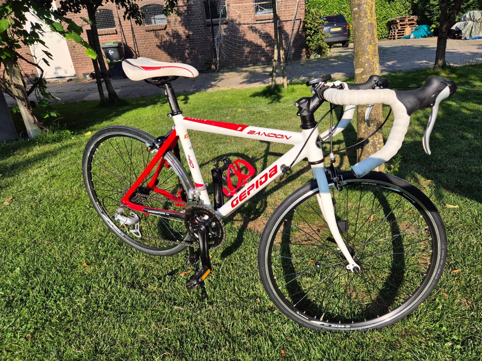 ≥ Gepida Bandon 410 Kinder Racefiets 24 inch - Z.G.A.N. (m2407853319 ...