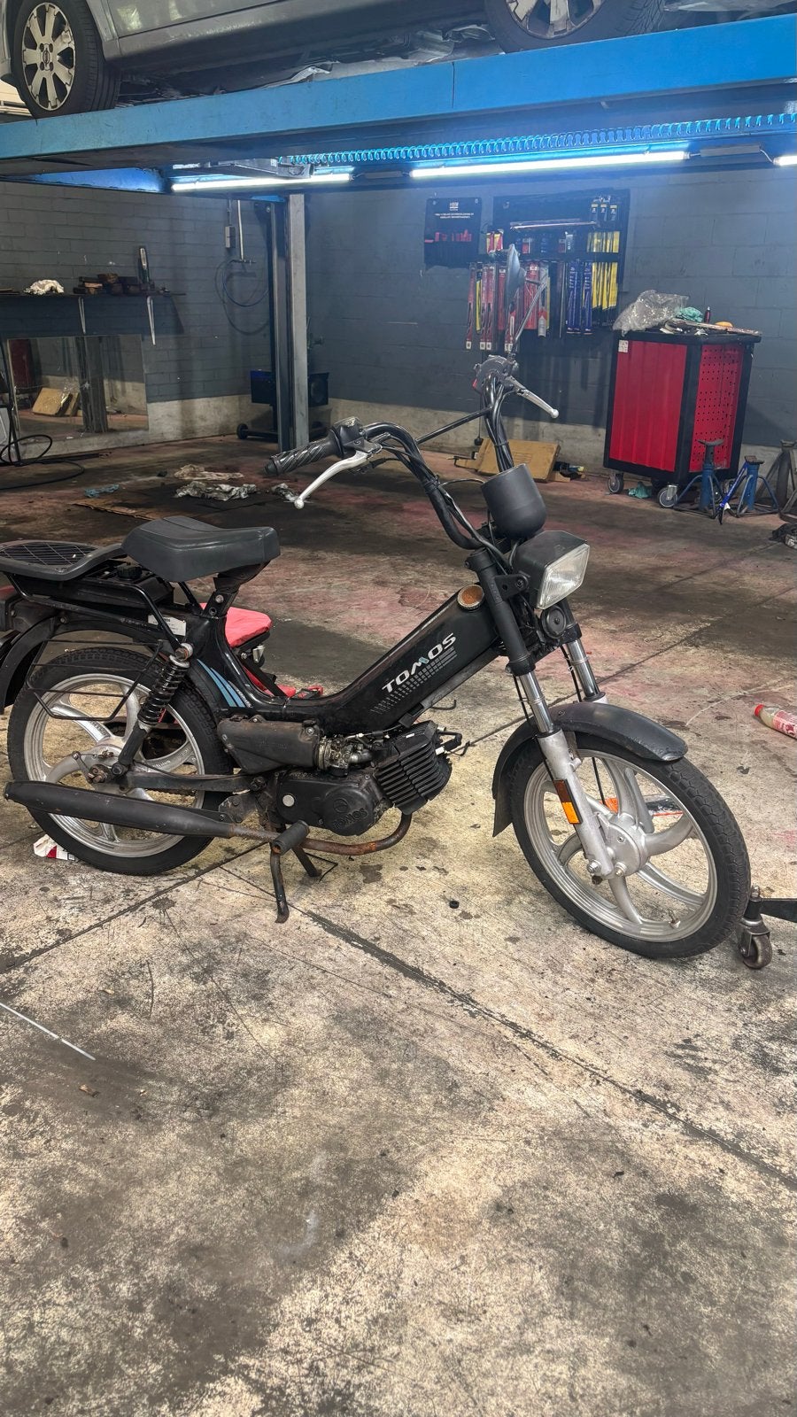 ≥ Tomos Standard bromfiets - Opknapper — Brommers | Tomos — Marktplaats
