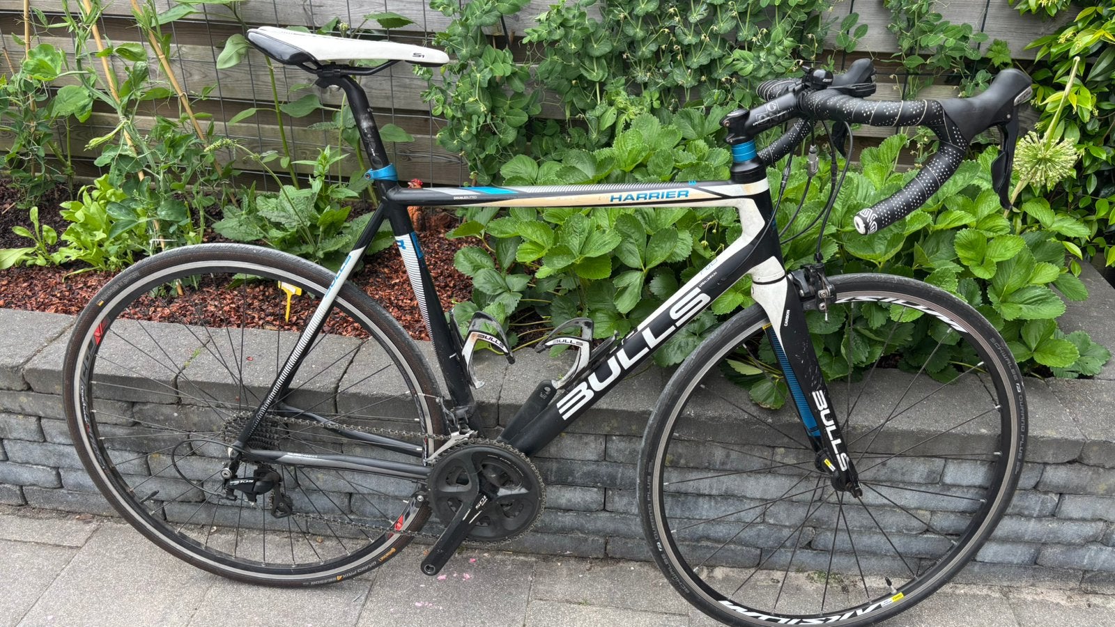 ≥ Bulls harrier - model 2015 (m2408360992) — Fietsen | Racefietsen ...