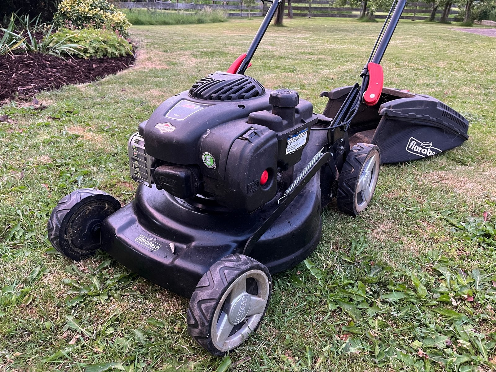 ≥ Florabest FBM 450 B2 Benzine Grasmaaier - Briggs & Stratton ...