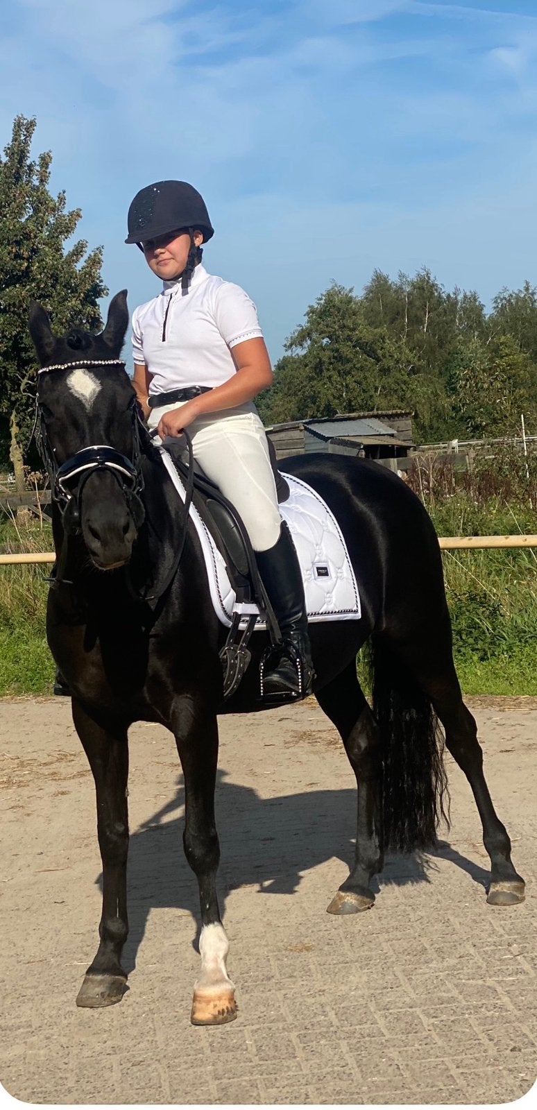≥ D pony 148 — Pony's — Marktplaats