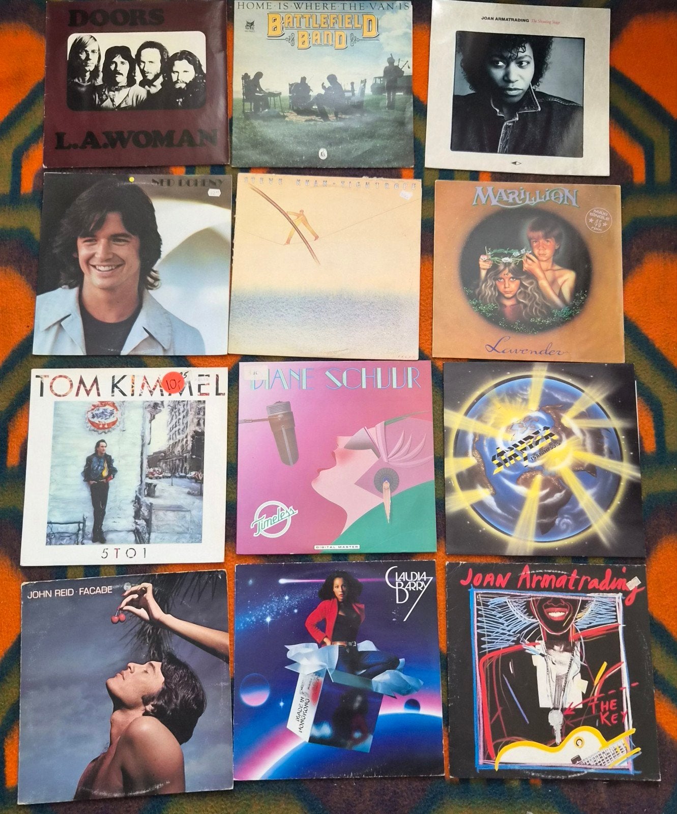 ≥ 230 lp's vinyl met o.a Pink Floyd en the Doors en veel meer ...