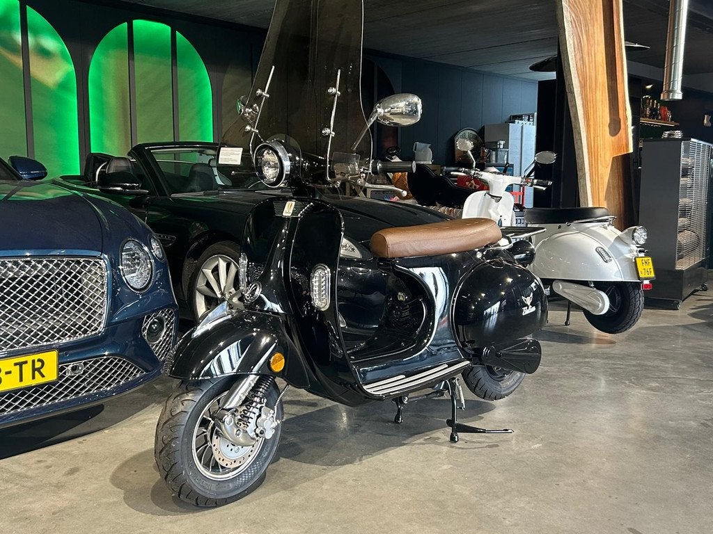 ≥ golden lion Elek Scooter Nieuw BTW (bj 2022) — Brommers | Overige ...