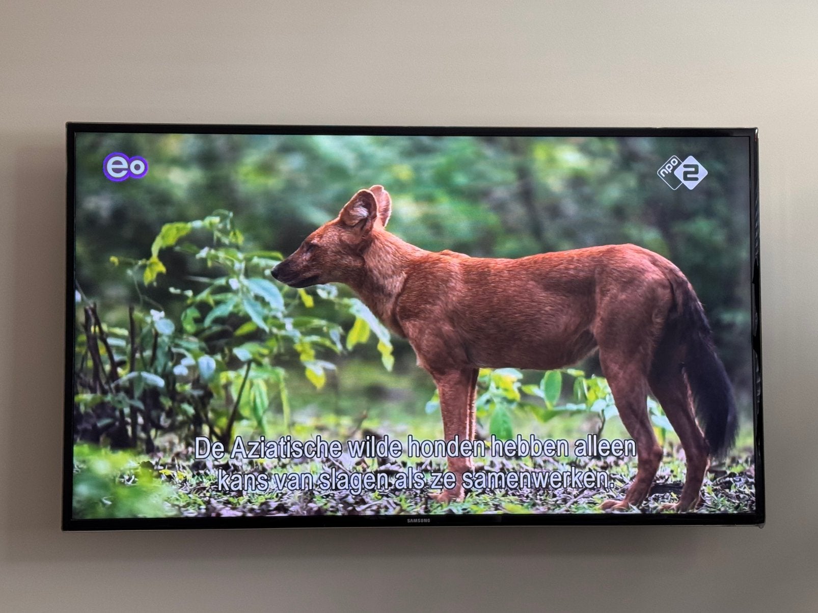 ≥ Samsung televisie 55 inch - Werkt nog goed! (m2406428620 ...