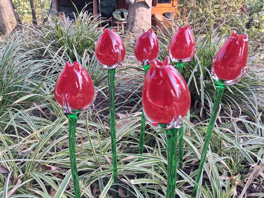 ≥ Vind glazen tulpen in Antiek | Glas en Kristal op Marktplaats