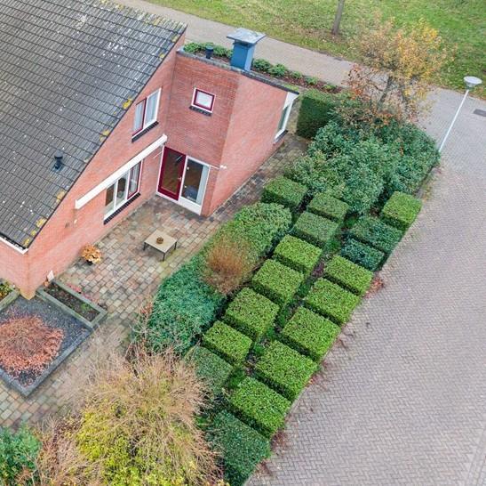 ≥ Laurierstruiken te koop | Tuin en Terras | Marktplaats