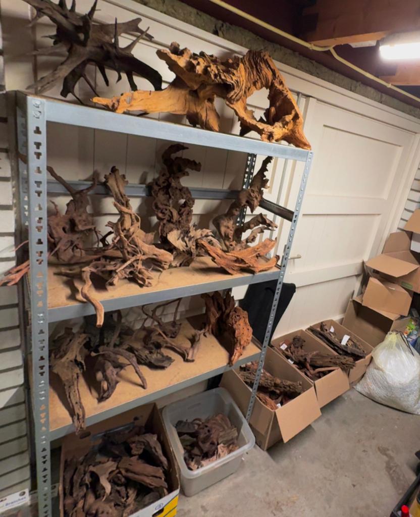 ≥ 50 Stuks Kienhout / Spiderwood / Driftwood, Hout Decoratie — Vissen ...