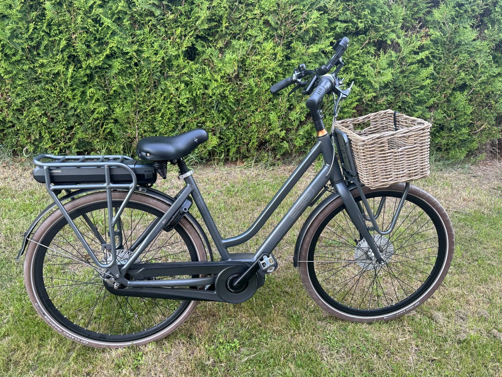 ≥ BSP elektrische fiets met middenmotor — Elektrische fietsen — Marktplaats
