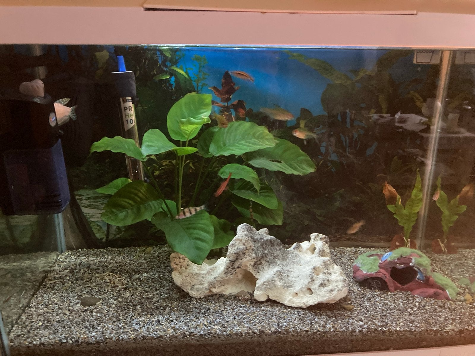 ≥ Aquarium — Vissen | Aquaria en Toebehoren — Marktplaats