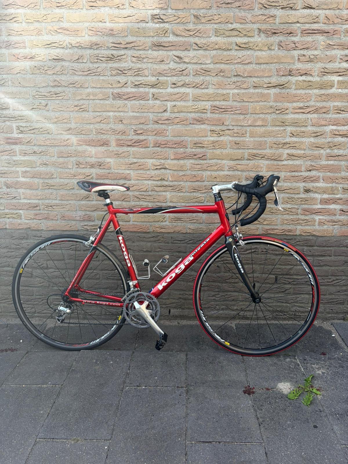 ≥ Racefiets wielrenfiets Koga Miyata Carbon — Fietsen | Racefietsen ...
