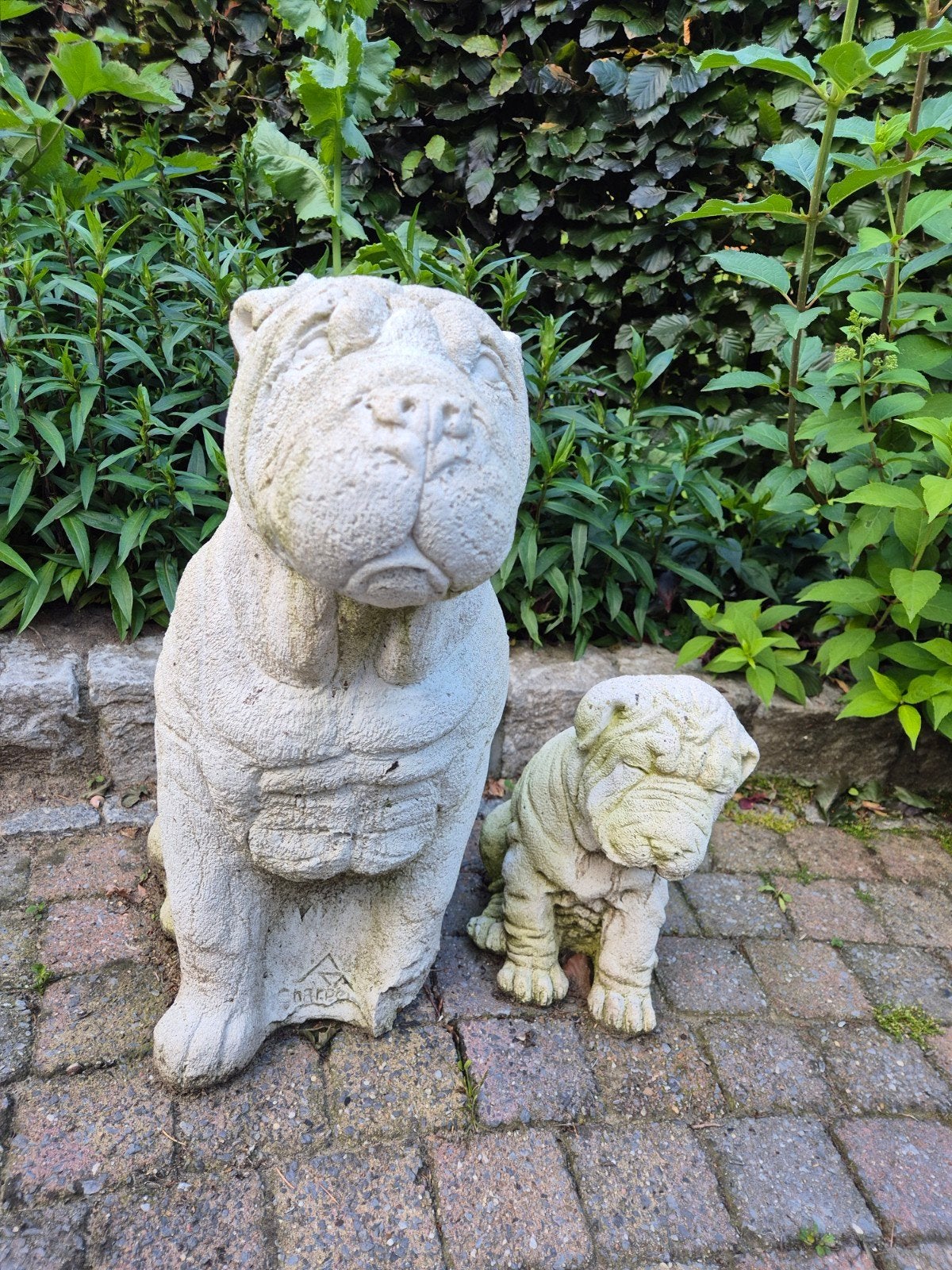 ≥ Sharpei hond volwassen en pup tuinbeeld — Tuinbeelden — Marktplaats