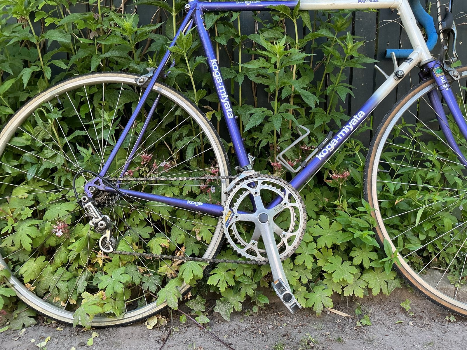 ≥ Koga Miyata racefiets - Klassieke stijl, topkwaliteit — Fietsen ...