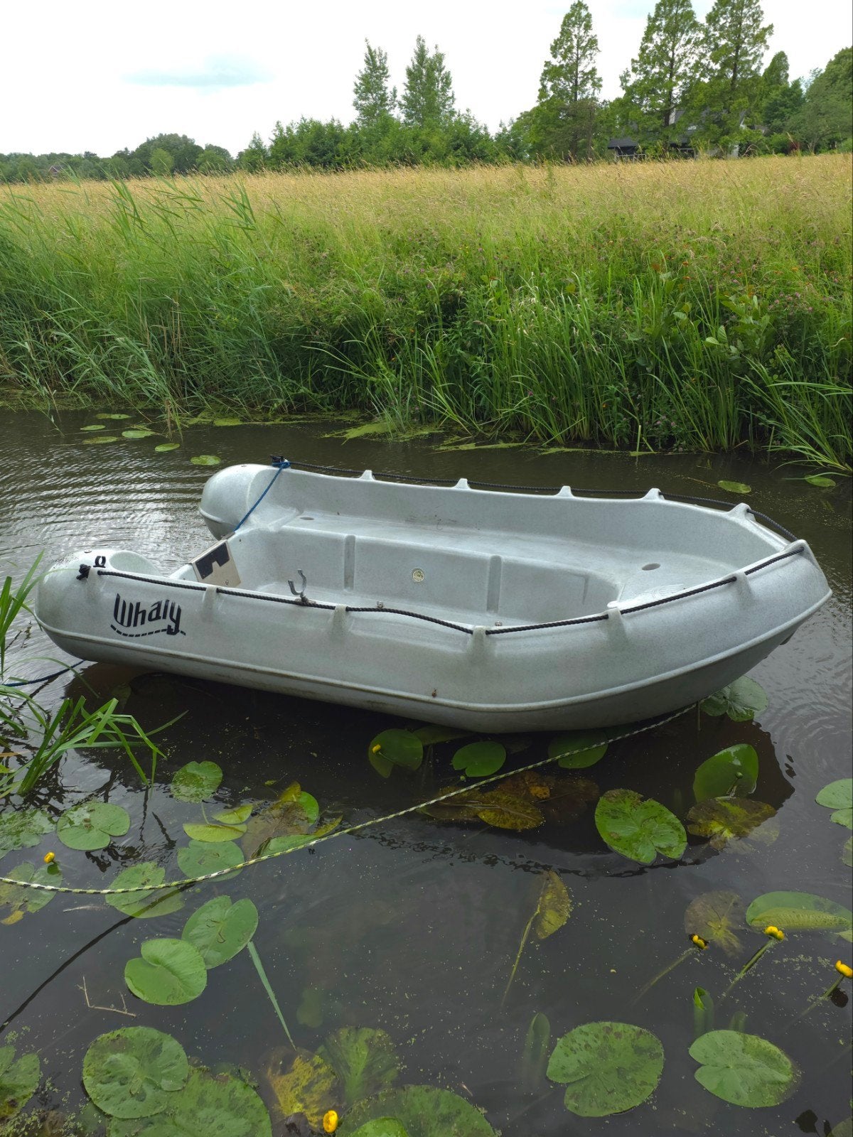 ≥ Whaly 310 - Robuuste en betrouwbare werkboot — Kano's — Marktplaats