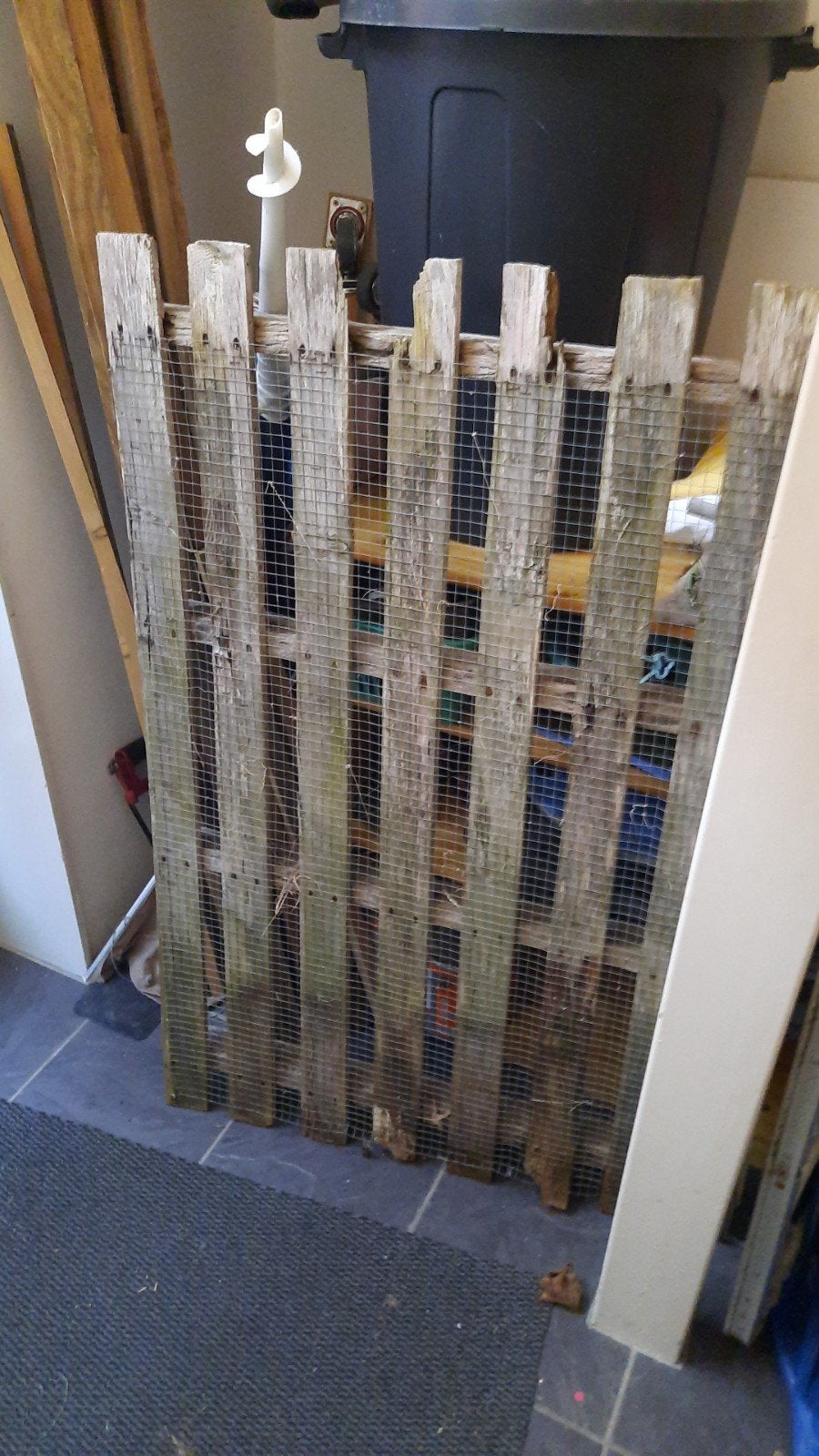 ≥ Pallet met kippengaas voor klimplanten (gratis af te halen ...