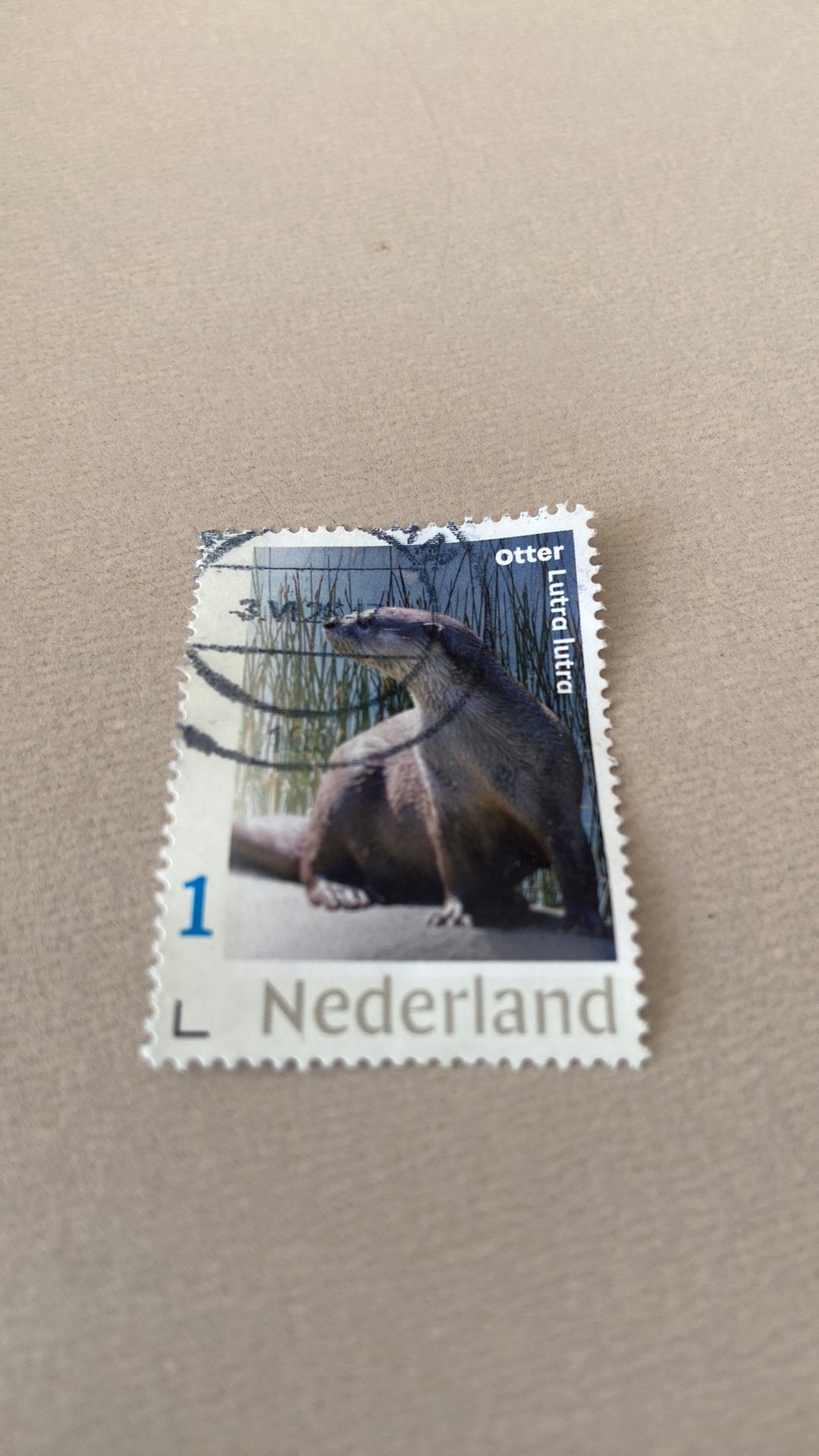 ≥ Vind lmb van den otter op Marktplaats - juni 2026