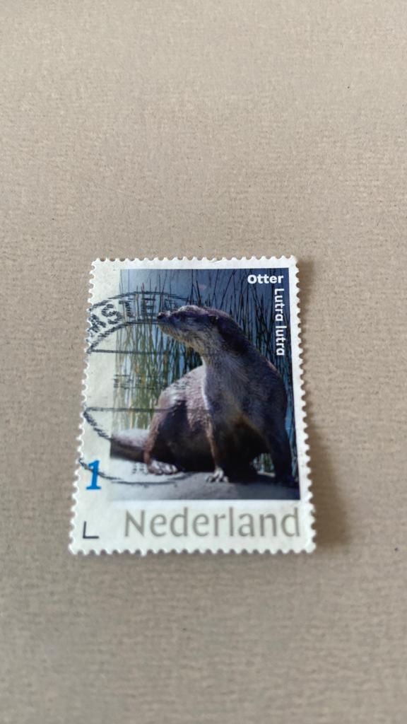 ≥ Vind lmb van den otter op Marktplaats - juni 2026