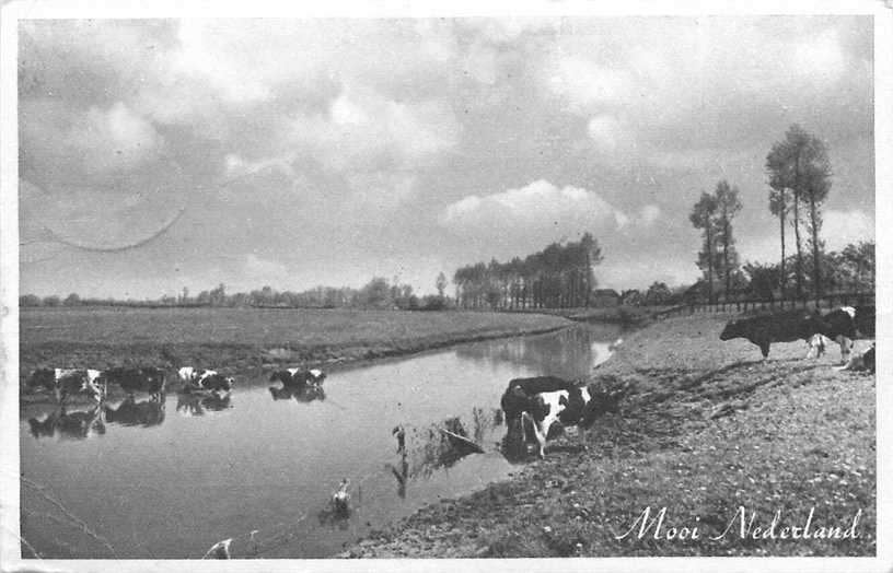 ≥ 380-914-033 Mooi Nederland — Ansichtkaarten | Nederland — Marktplaats