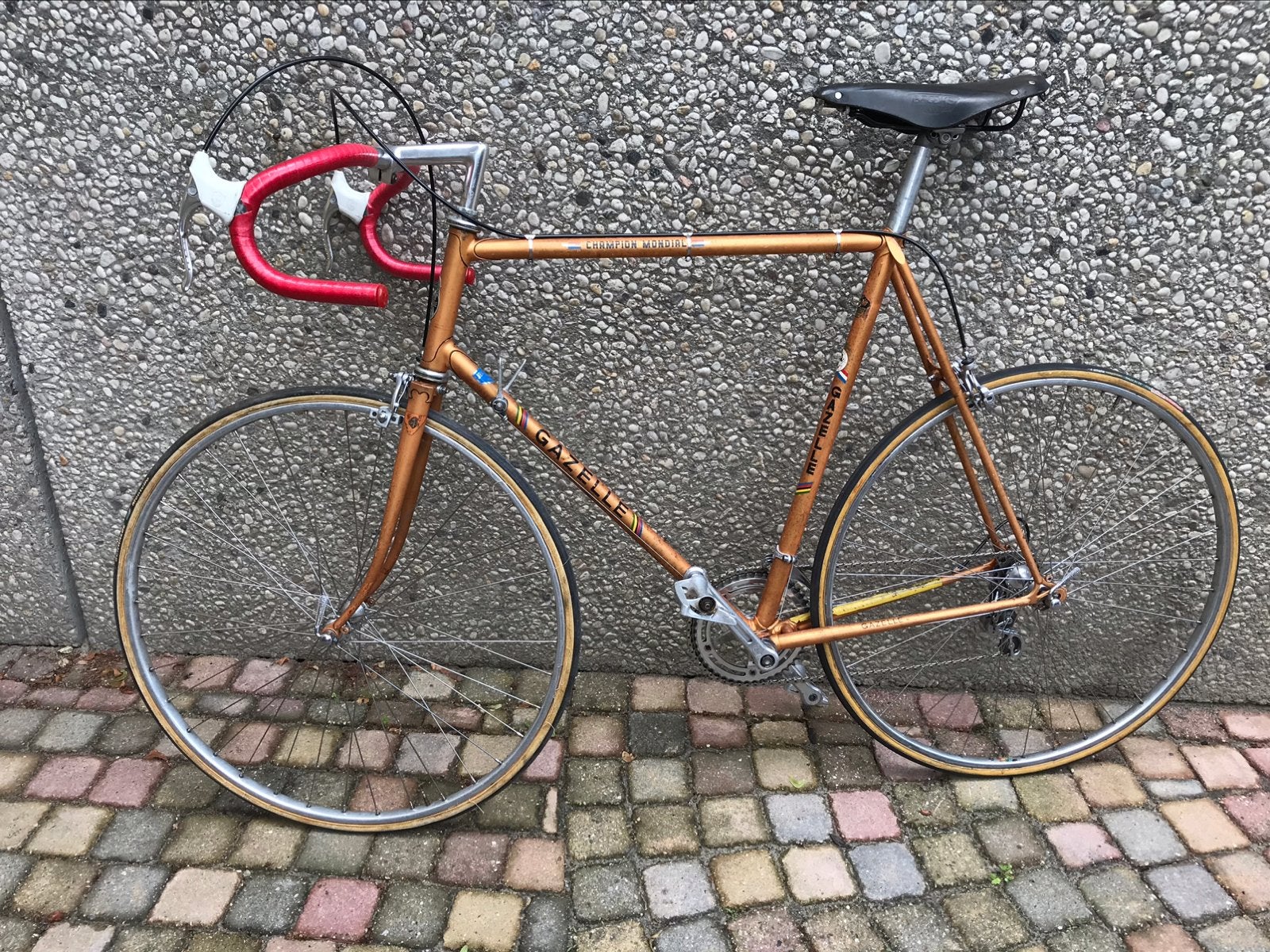 ≥ Gazelle Champion Mondial 1974 62cm c-t campagnolo record. — Fietsen ...